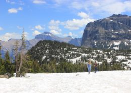 Glacier National Park - The Road We've Traveled